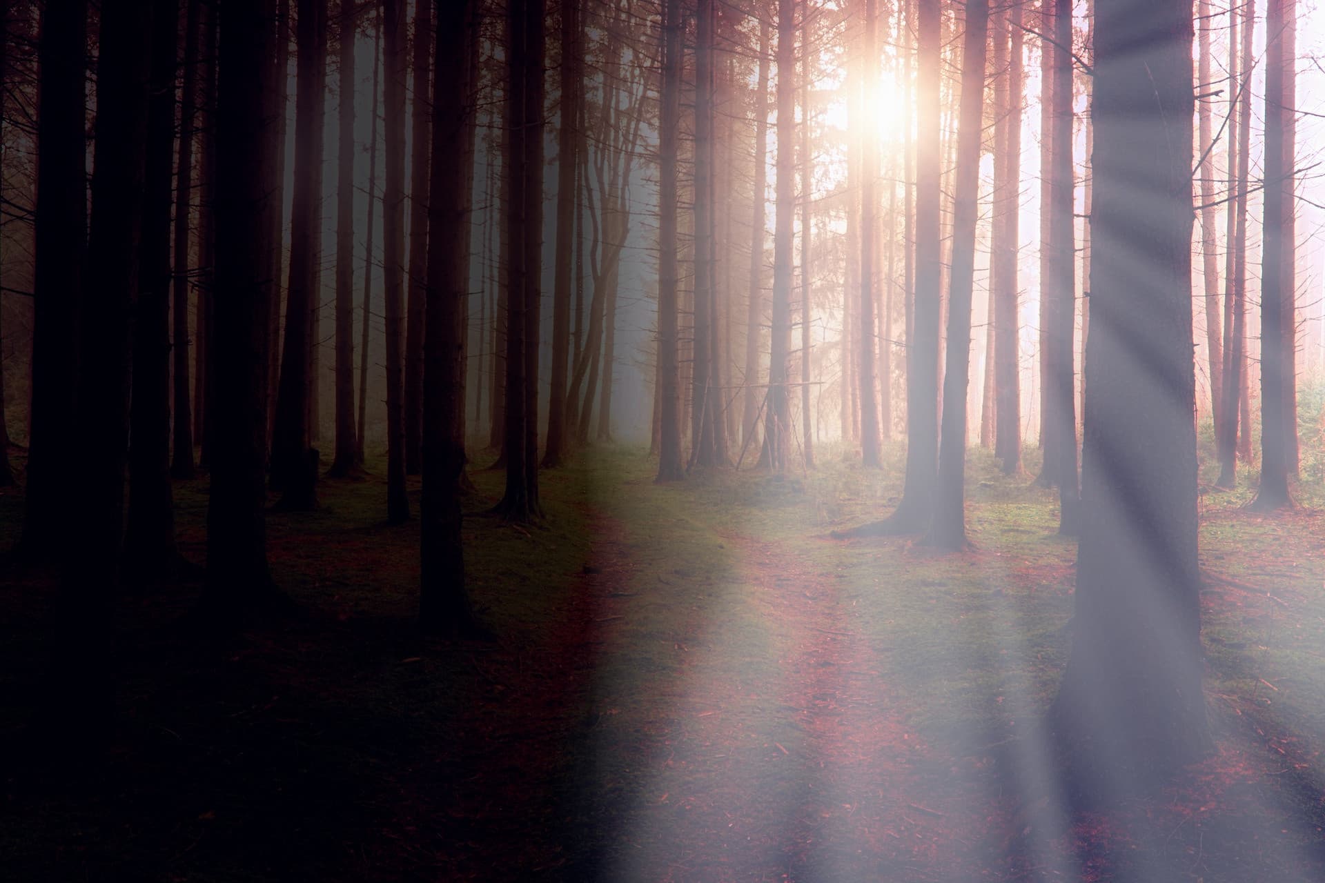 Licht und Schatten | Bewusstseinsentfaltung & energetische Heilarbeit
